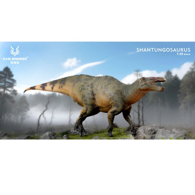 Haolonggood Prehistoric Animal Models Archives - Everything Dinosaur