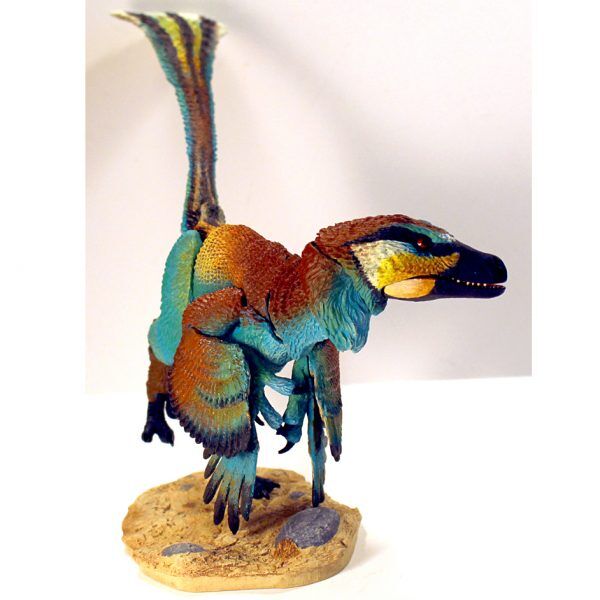 Beasts of the Mesozoic Raptor Linheraptor exquisitus