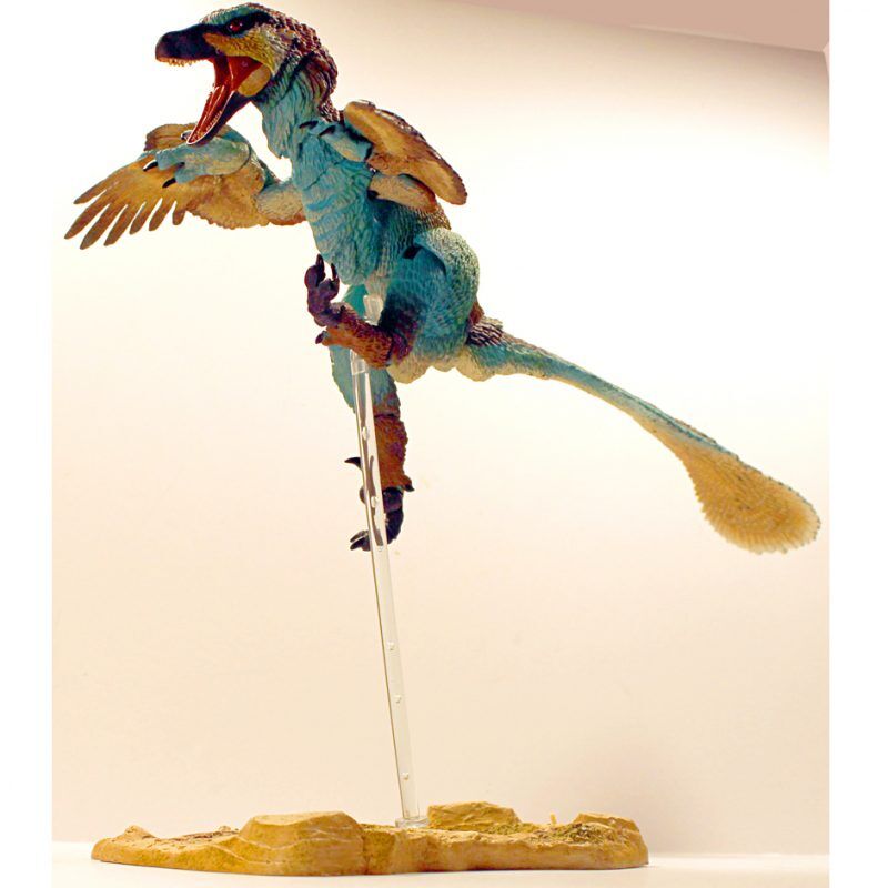 Beasts of the Mesozoic Raptor Linheraptor exquisitus