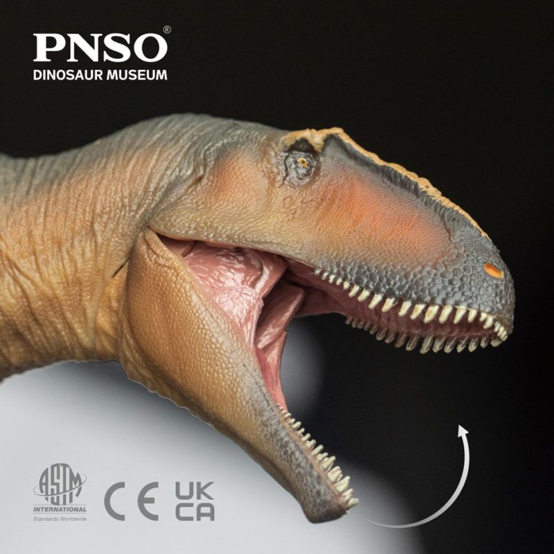 PNSO Lucas the Giganotosaurus - Everything Dinosaur