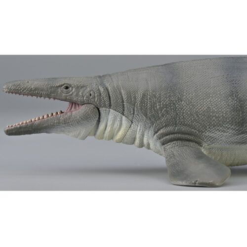 CollectA Deluxe Mosasaurus Model - Everything Dinosaur