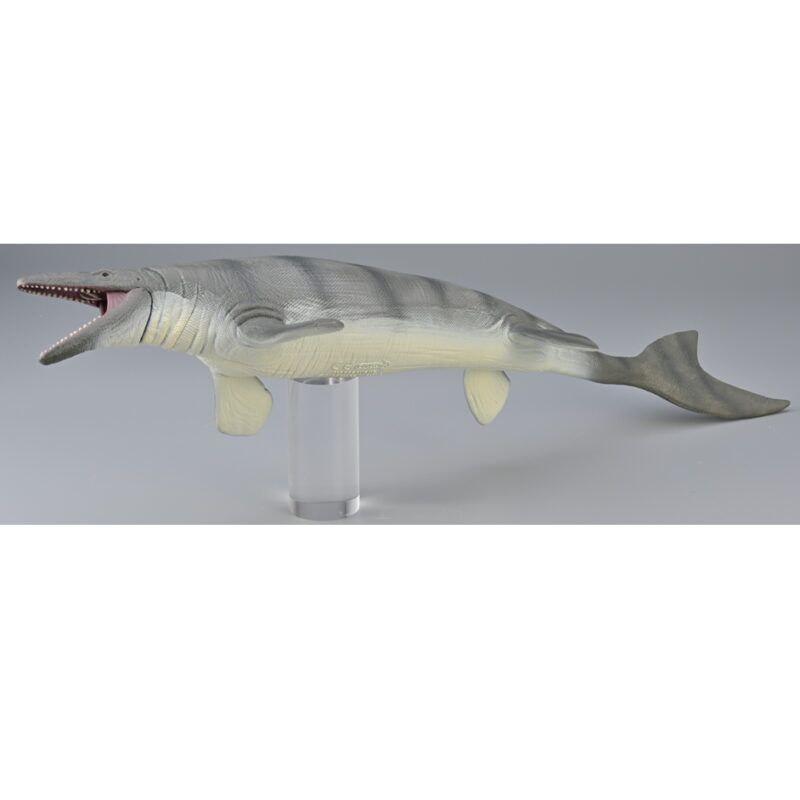 CollectA Deluxe Mosasaurus Model - Everything Dinosaur