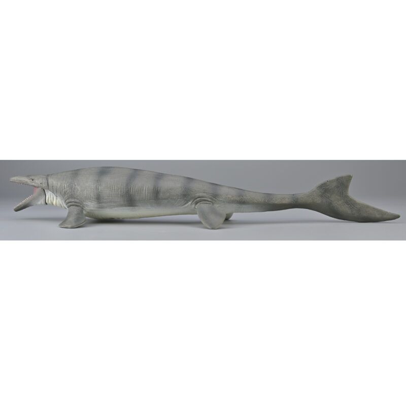 CollectA Deluxe Mosasaurus Model - Everything Dinosaur
