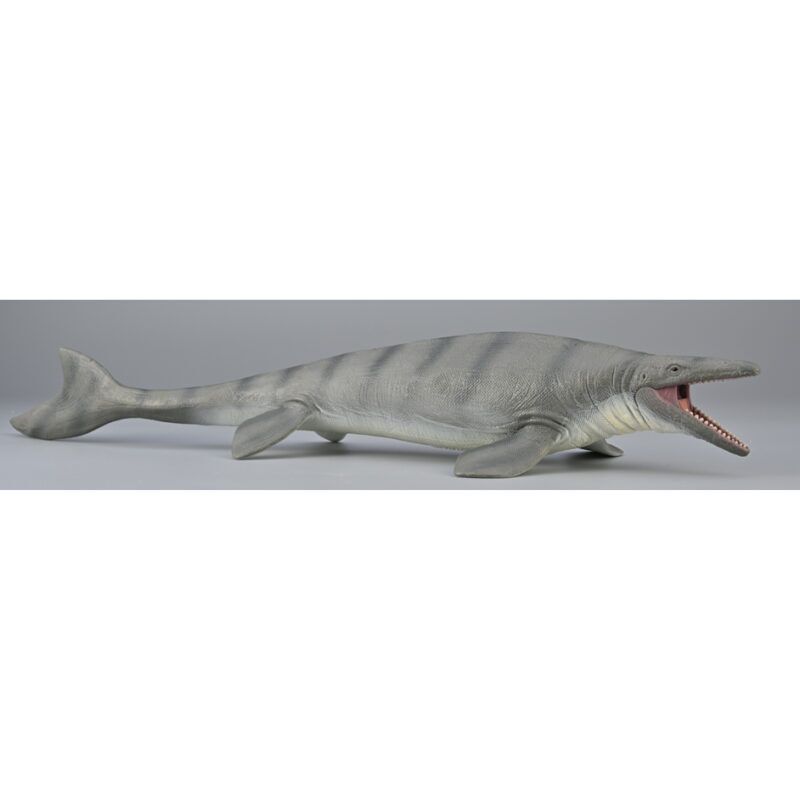 CollectA Deluxe Mosasaurus Model - Everything Dinosaur