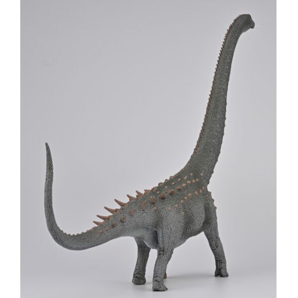 CollectA Deluxe Ruyangosaurus - Everything Dinosaur