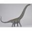 CollectA Deluxe Ruyangosaurus - Everything Dinosaur