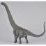 CollectA Deluxe Ruyangosaurus - Everything Dinosaur