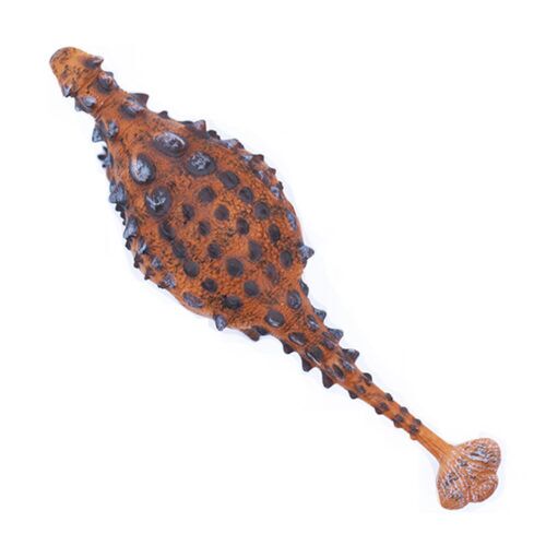 Haolonggood Euoplocephalus model (Shi En)