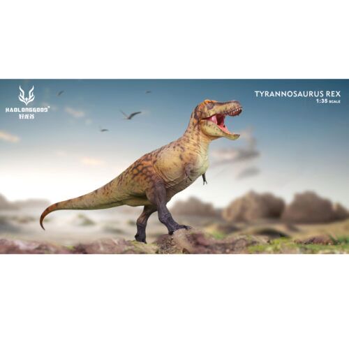 Haolonggood T. rex Chao Gai (Brown) - Everything Dinosaur