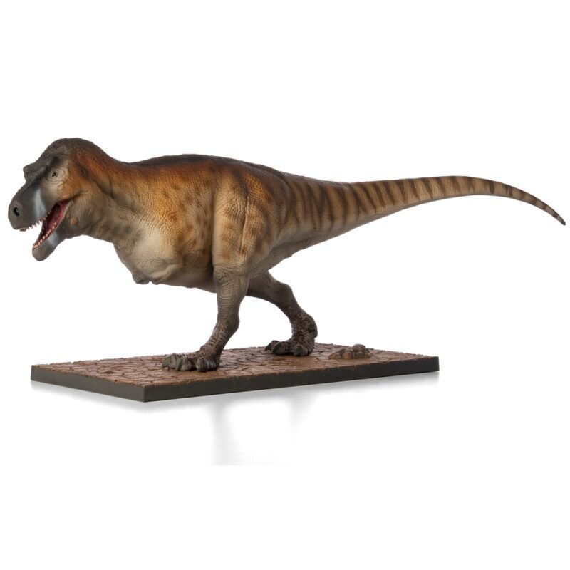 Everything Dinosaur Evolution Archives - Everything Dinosaur