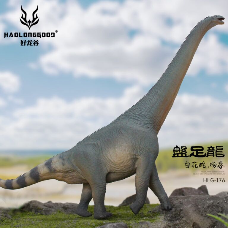 Haolonggood Prehistoric Animal Models Archives - Everything Dinosaur